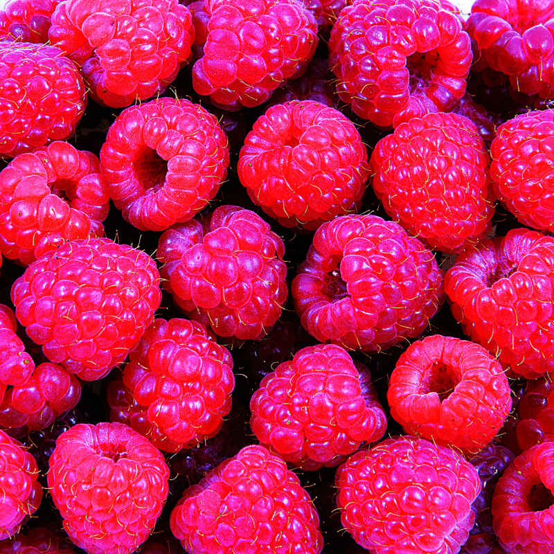 Framboises – Himbeeren – Henri Probst SA