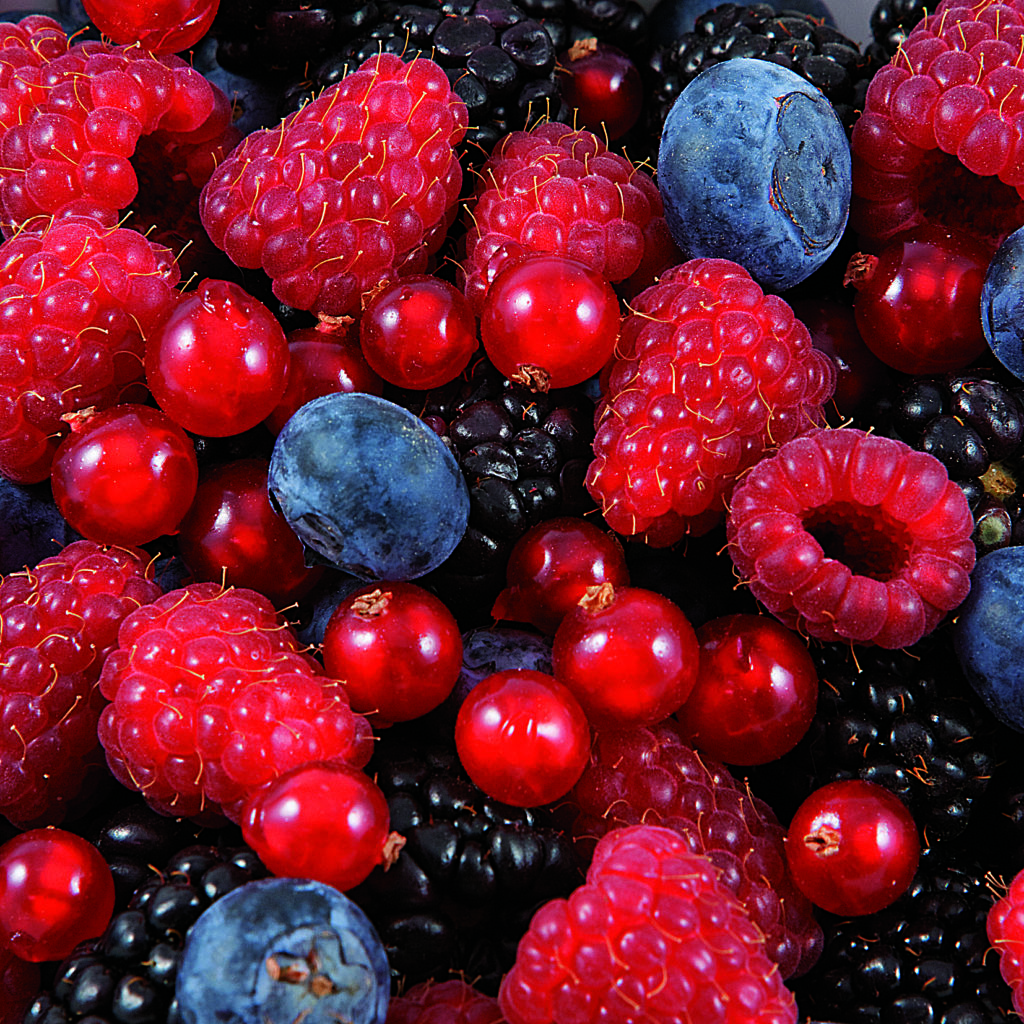 Mélanges – Waldbeeren – Henri Probst SA